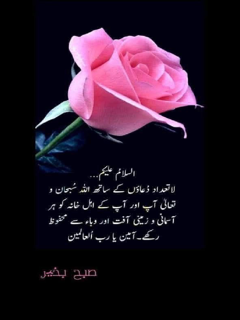 Kashif Ali Khanhfjfjf | PDF