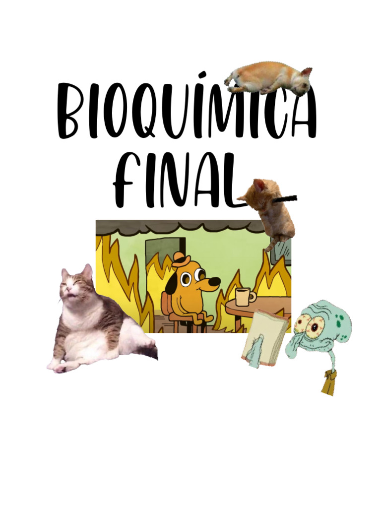 Bioquimica 2 | PDF | Trifosfato de adenosina | Lipoproteína