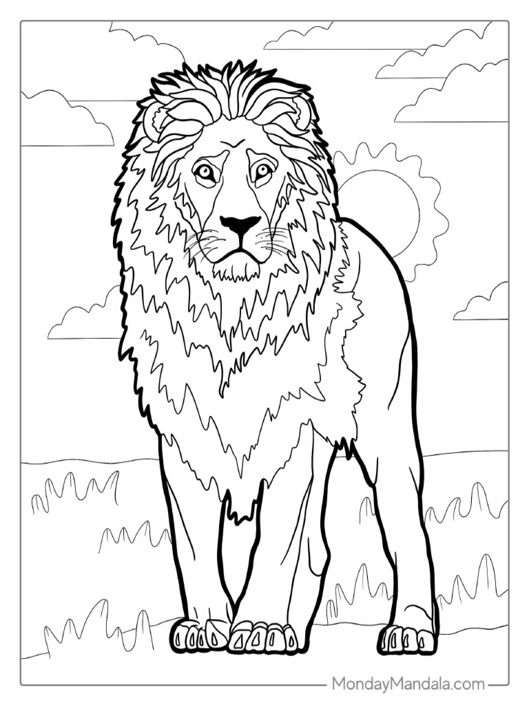 Pride Lion Male Coloring Sheet | PDF