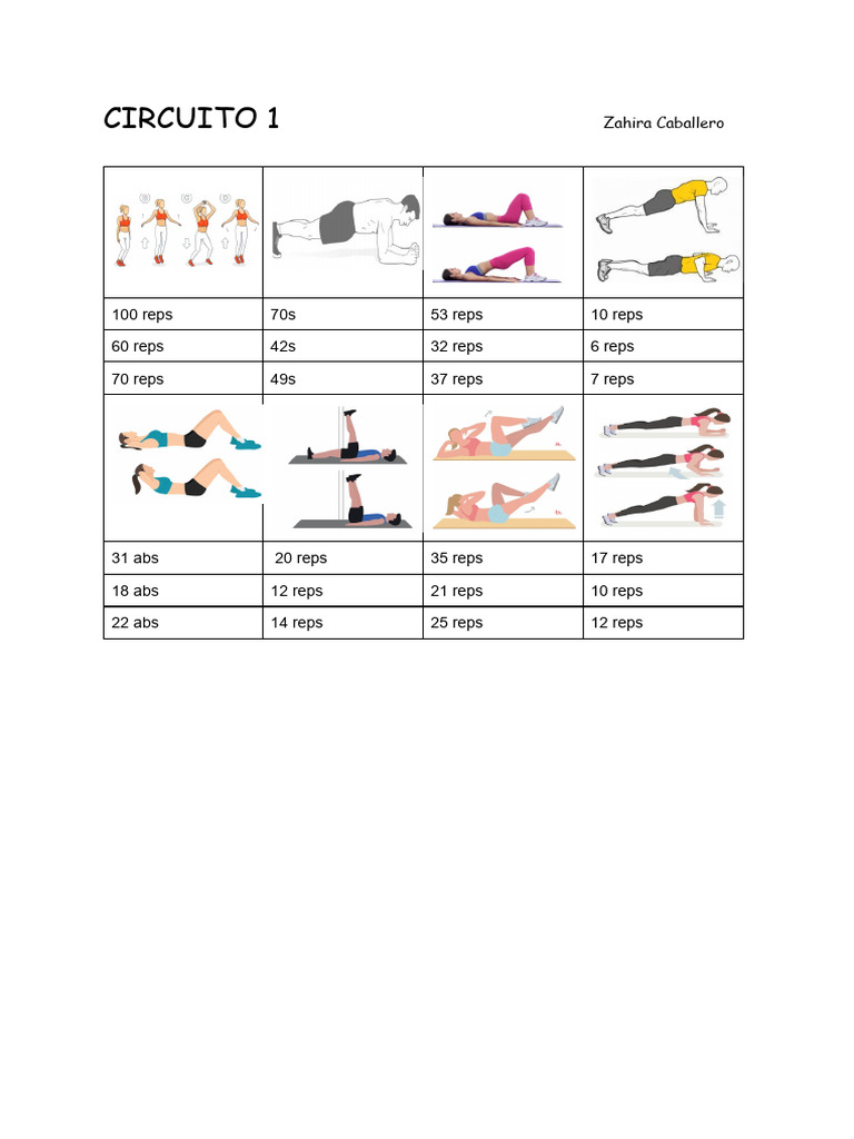 Circuito 1 ZCP | PDF
