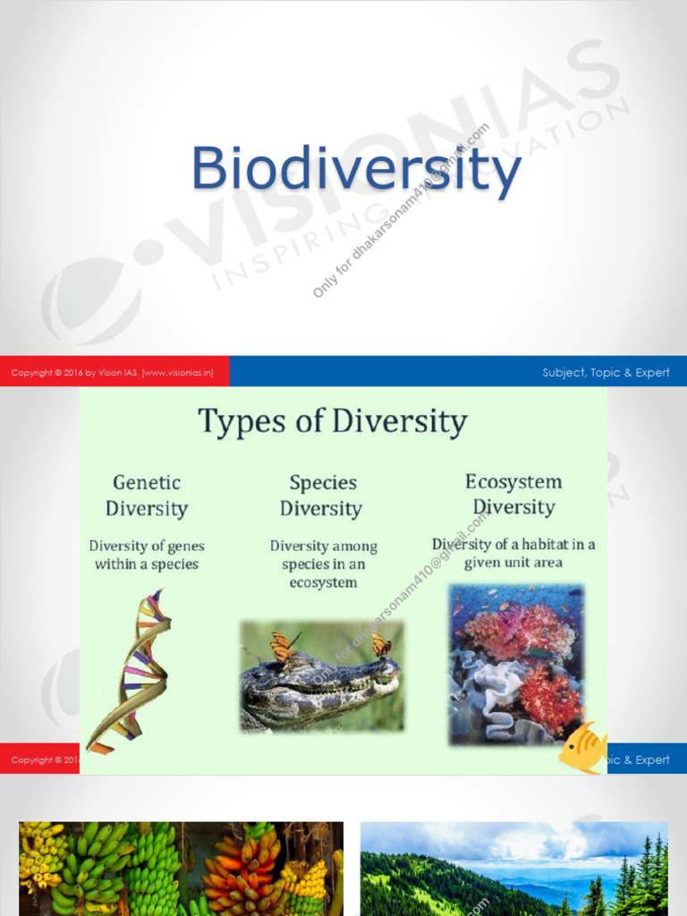 Classroom 1 Biodiversity | PDF | Biodiversity | Organisms