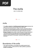 Anatomy and Contents of the Axilla | PDF | Arm | Anatomy