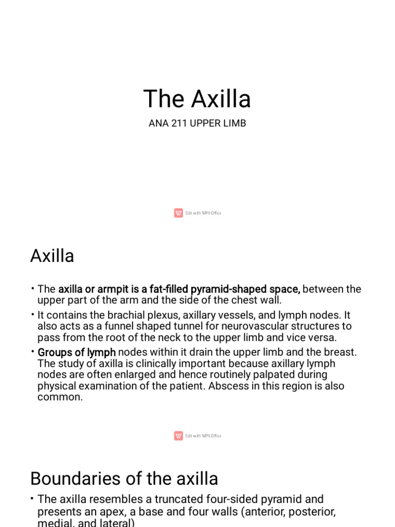 AXILLA | PDF | Limbs (Anatomy) | Human Anatomy