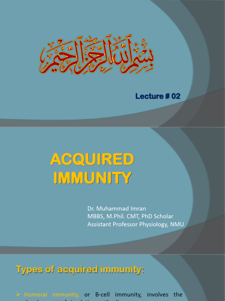 Lecture 02 Immunity 2024 | PDF | B Cell | T Cell