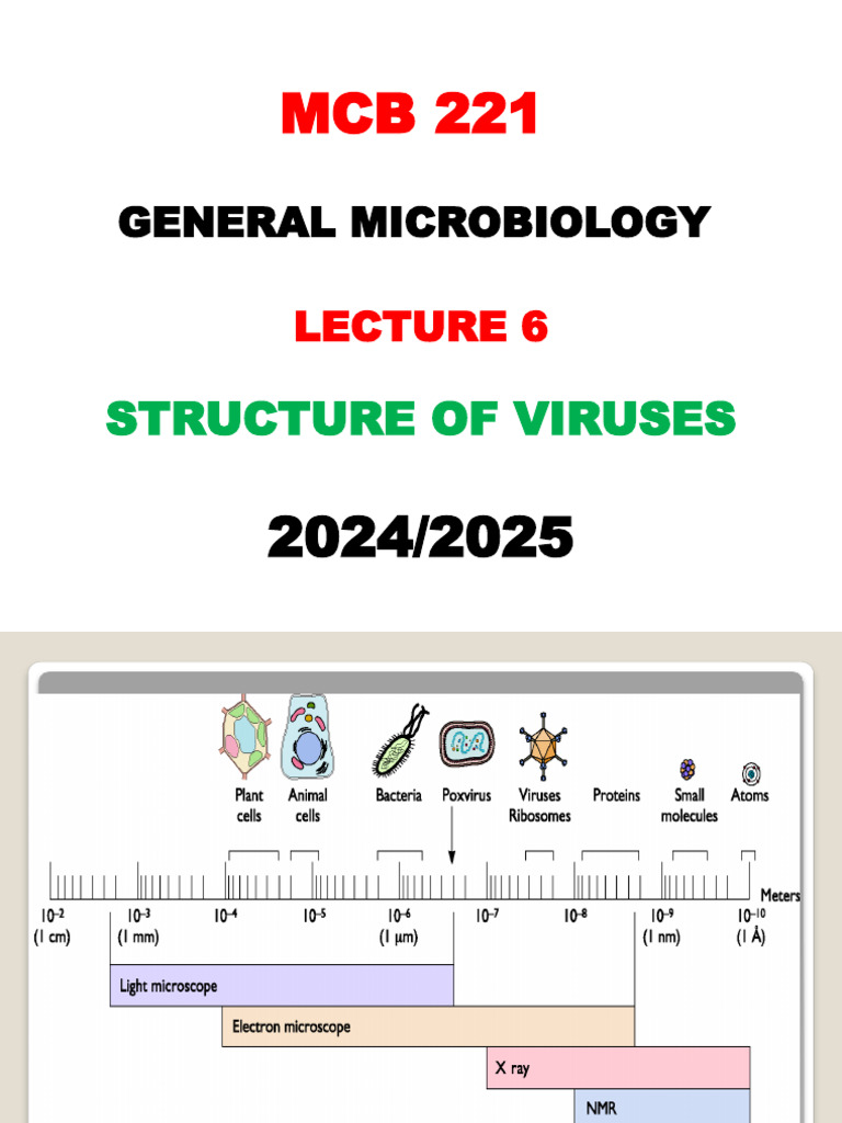 Virus Structure and Characteristics | PDF | Virus | Nucleic Acids