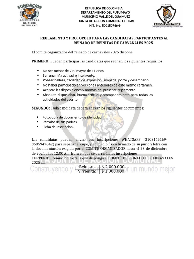 Ficha y Reglamento Del Reinitas 2025 | PDF