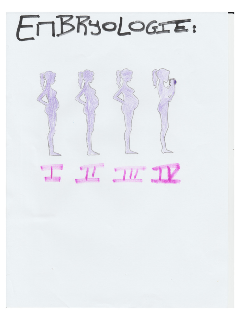 First Semaine Dev Emb | PDF