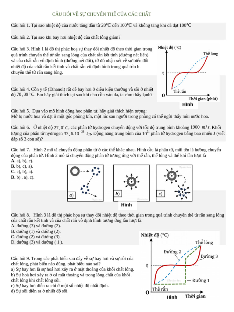 CÂU HỎI CD1 | PDF