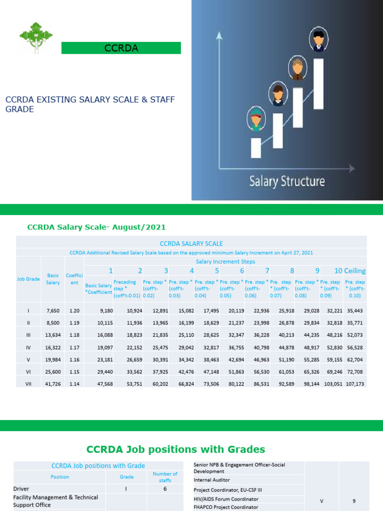 CCRDA Salary Scale Overview 2021 | PDF | Financial Services | Accounting