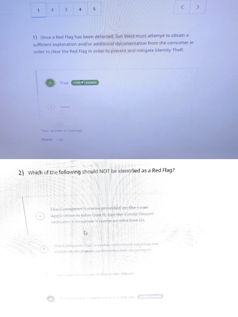 red flags | PDF | Credit History