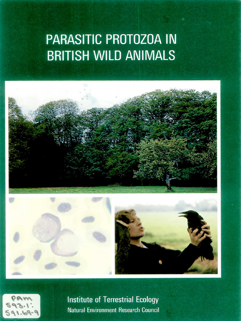 Parasitic Protozoa Pdf Protozoa Parasitism