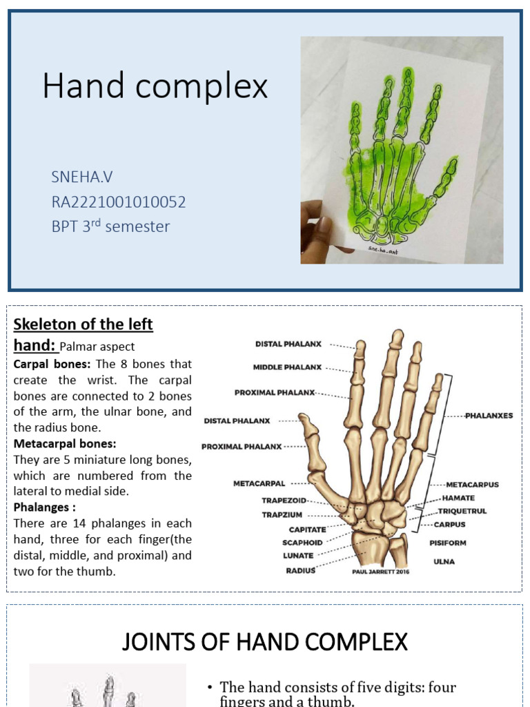 Biomechanics of Hand Complex-1 | PDF | Thumb | Hand