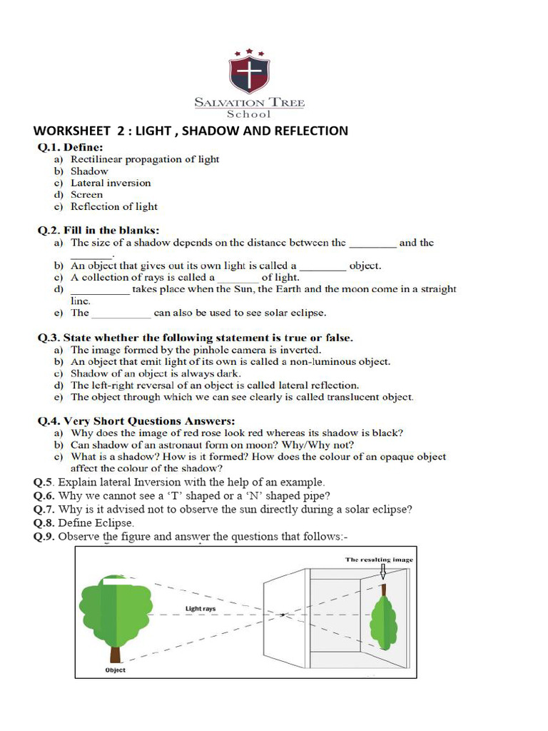 Light Class Vi Worksheet 2 | PDF