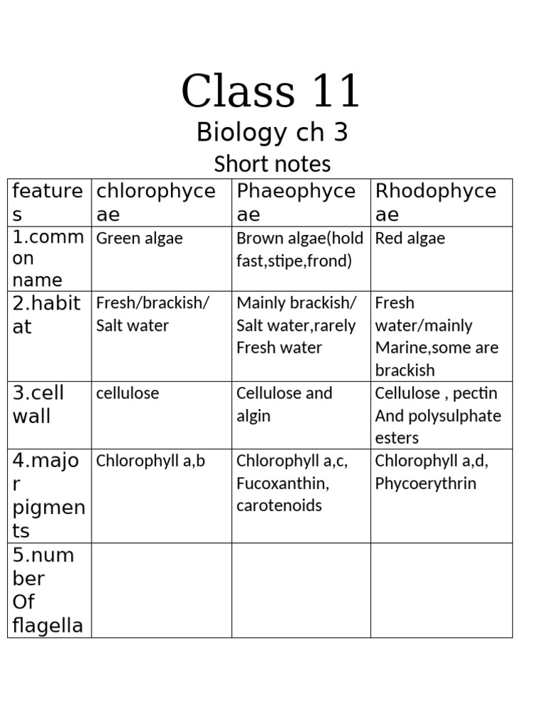 Class 11 Bio 1 | PDF
