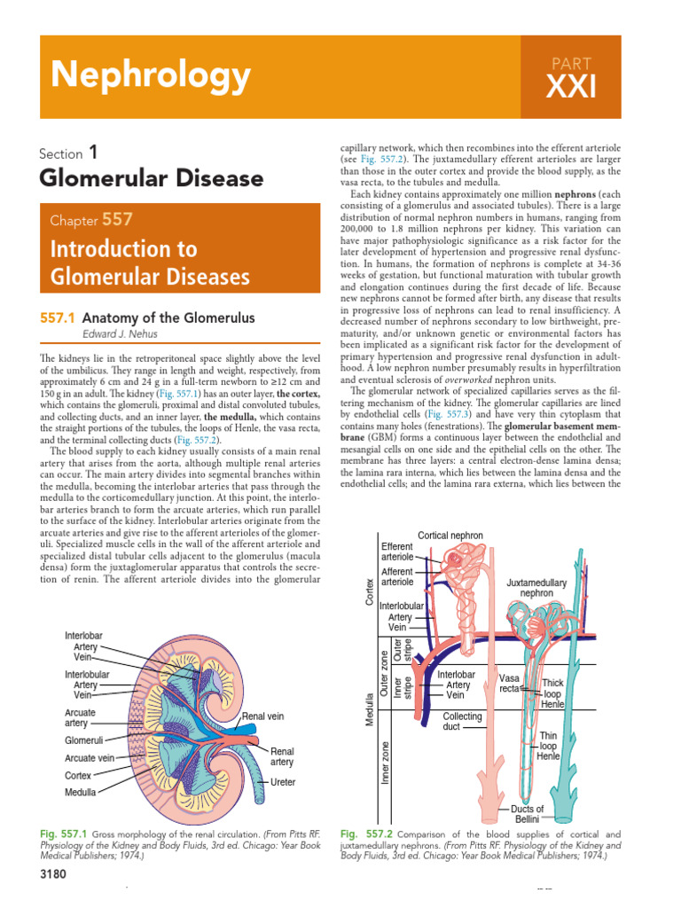 Part XXI - Nephrology - Nelson 2024 | PDF | Kidney | Urinary System