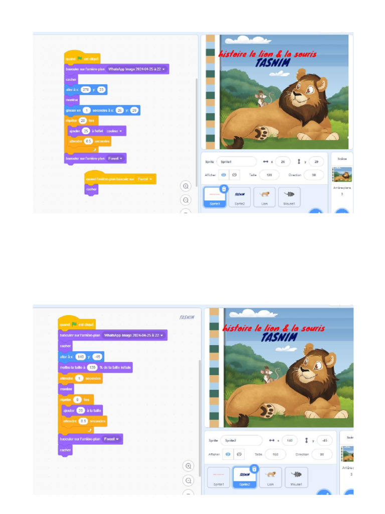 Dessin Animee Scratch | PDF