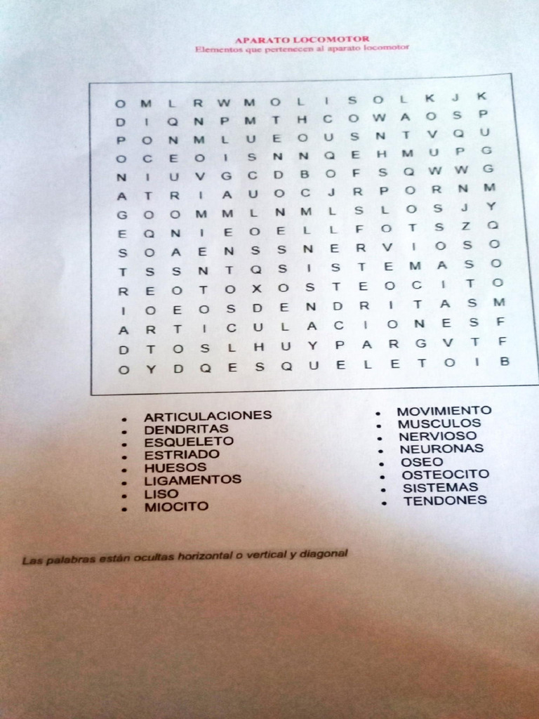 Trabajo Integrador | PDF