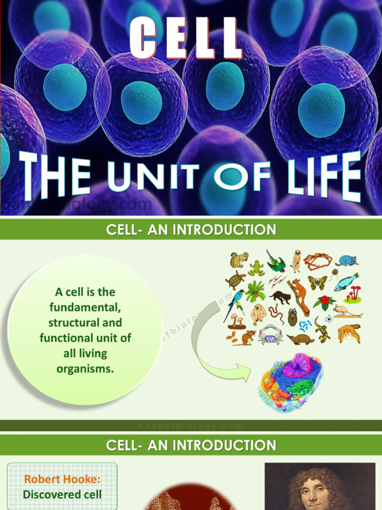 Download Full Version Now | PDF