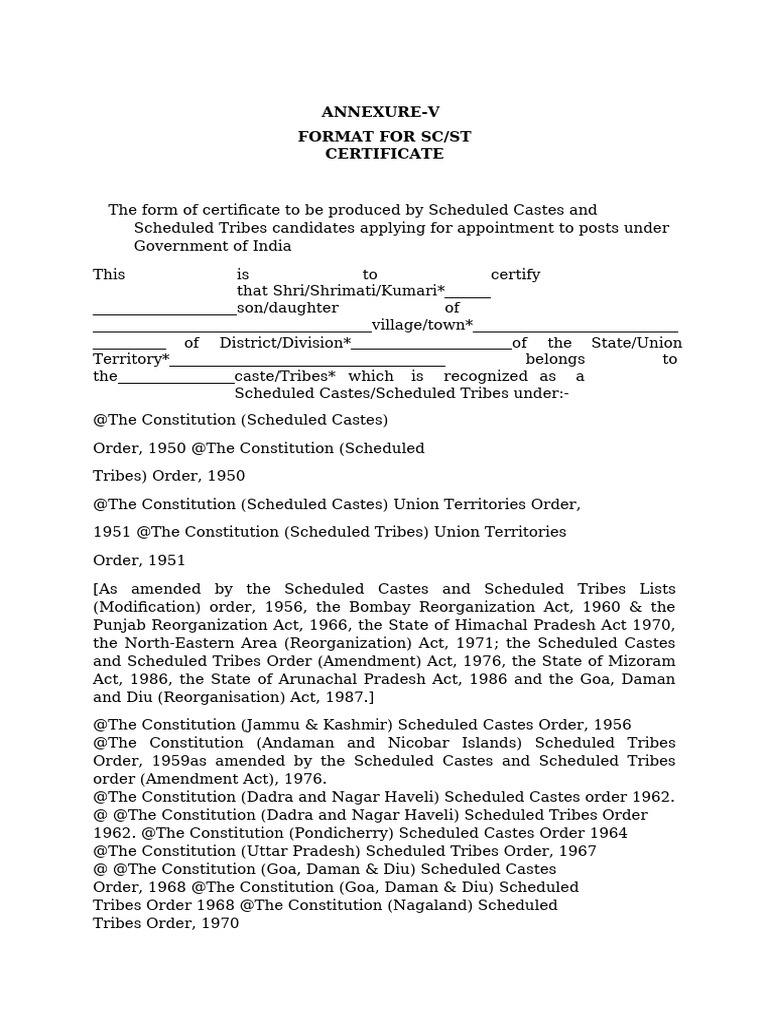 Central Caste Certificate Format | PDF | Politics Of India | South Asia