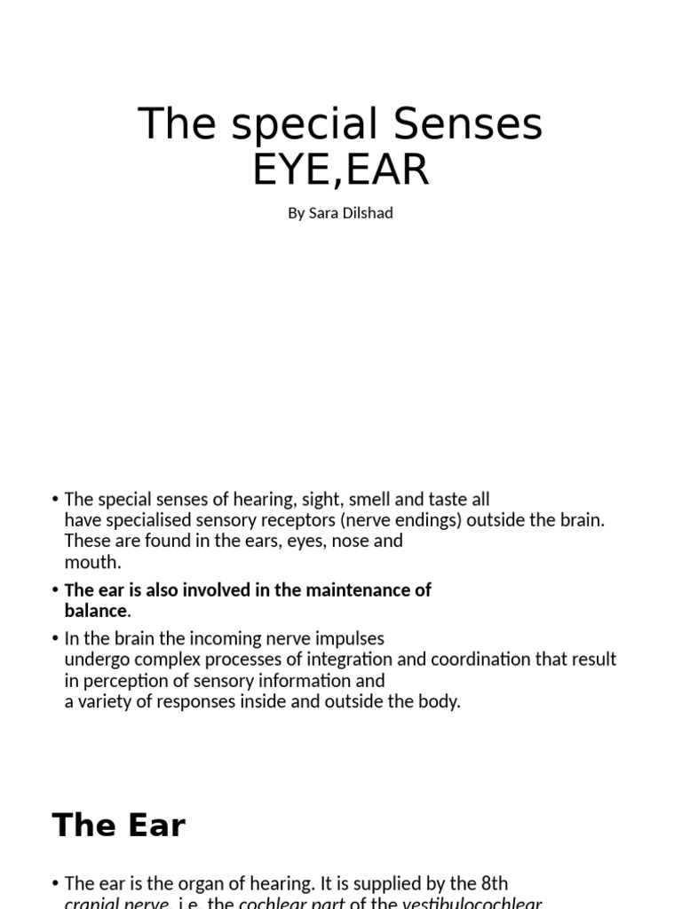 The Special Senses | PDF | Ear | Senses