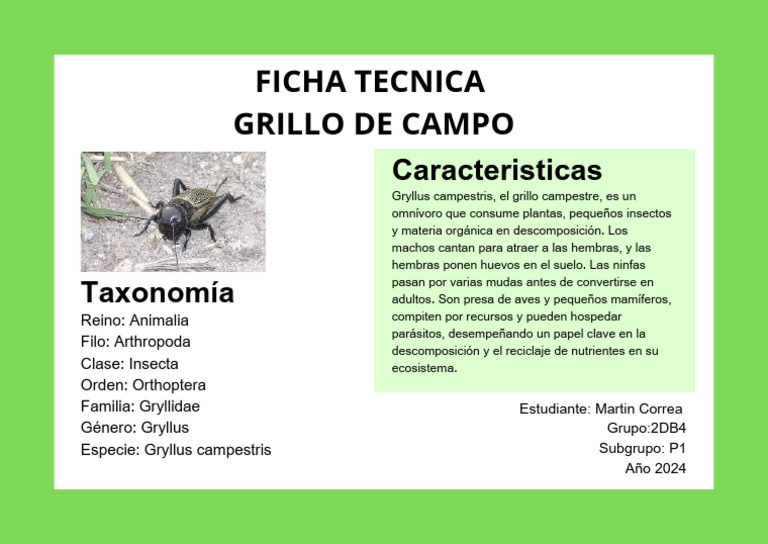 Taxonomía 20240625 152411 0000 | PDF