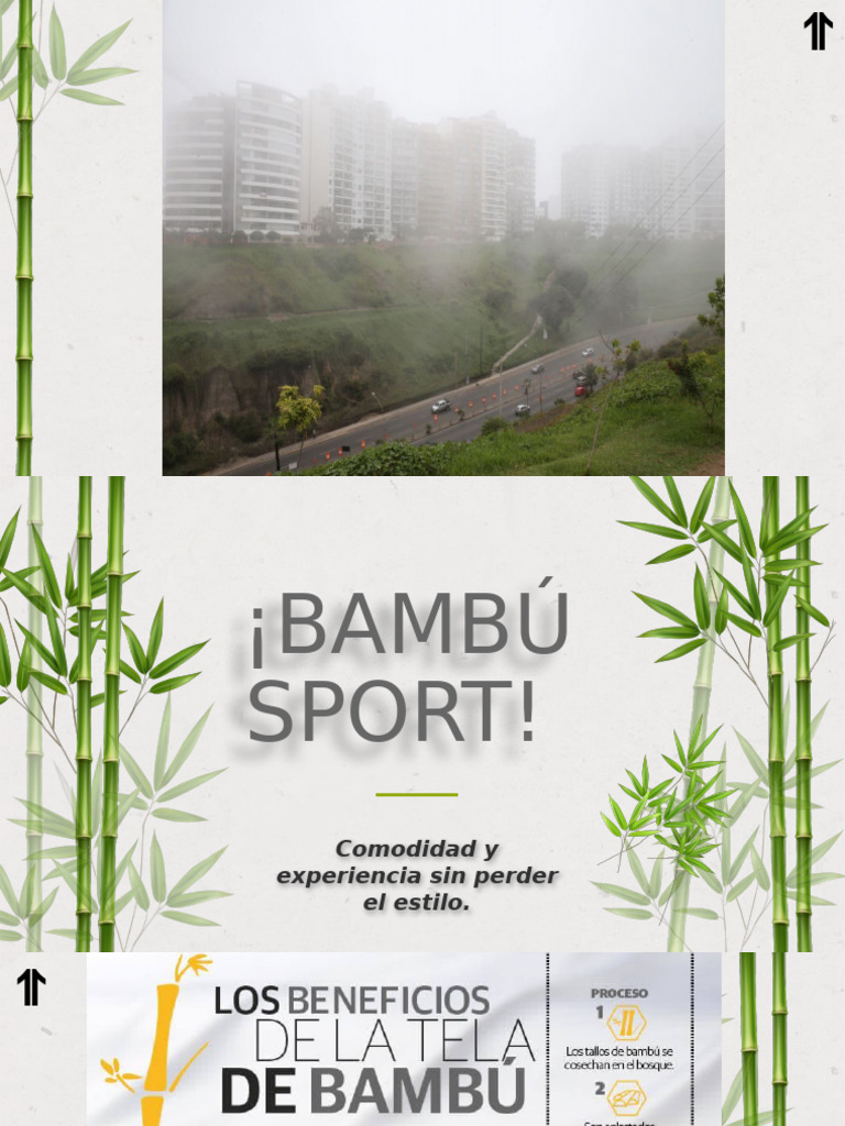 Bambu Sport | PDF