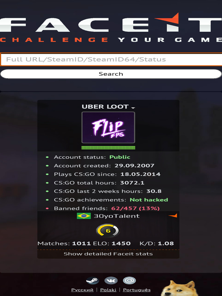 CS:GO Player Profile & Stats | PDF