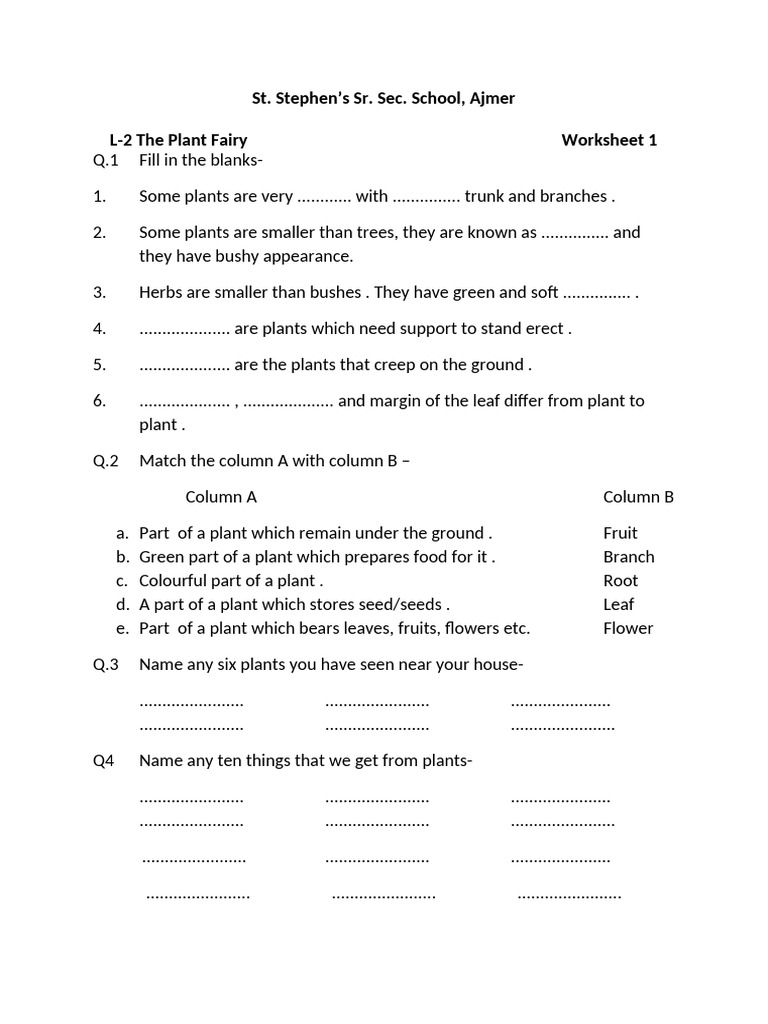 Class 3 Evs L-2 The Plant Ferry Full 2024-25 | PDF | Plants | Trees