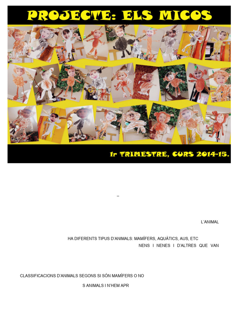 Projecte Micos | PDF