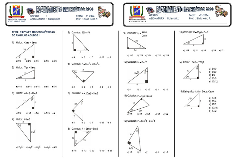 Práctica Razones Trigono. | PDF