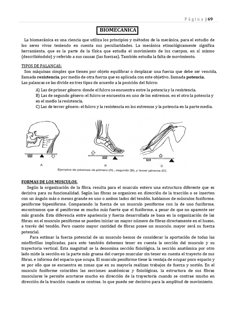 Biomecánica y Tipos de Palancas | PDF | Músculo | Palanca