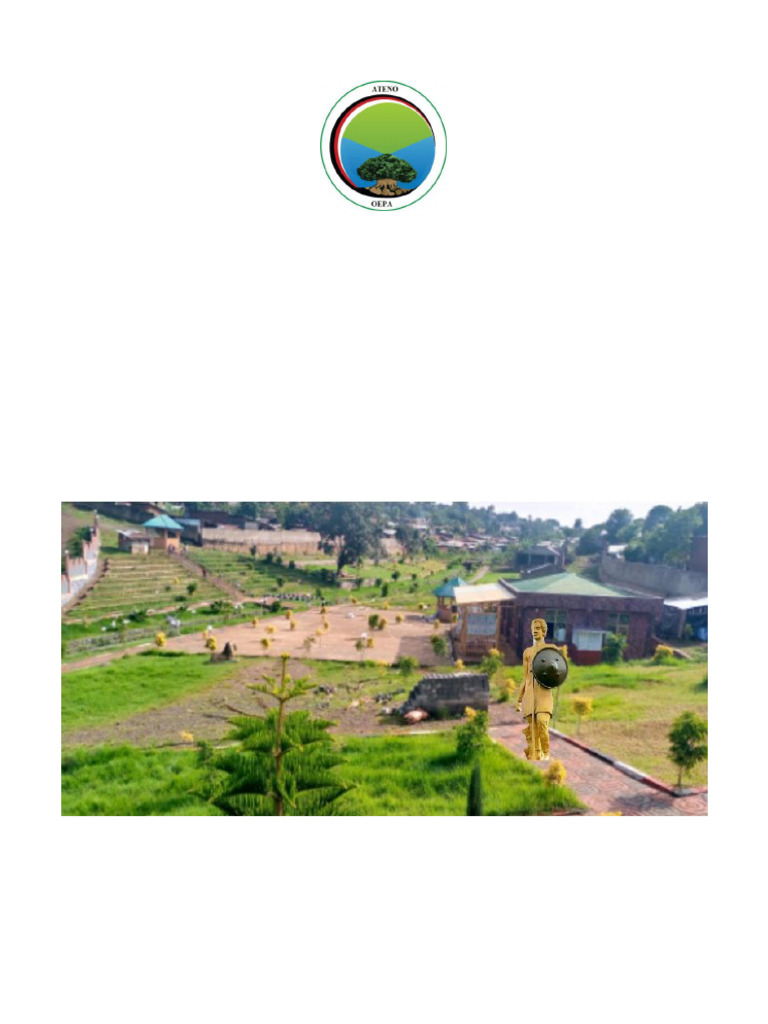Bedele town 2016 EFY project's ES Audit Report | PDF | Environmental ...