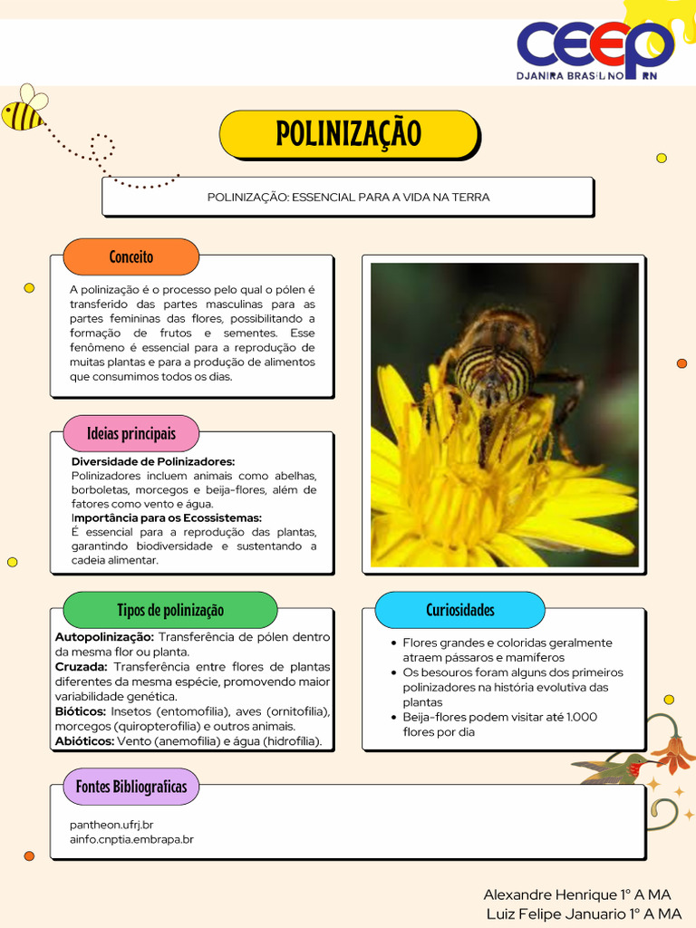 Cartaz Informativo de Ciências Estilo Ilustrado Colorido | PDF