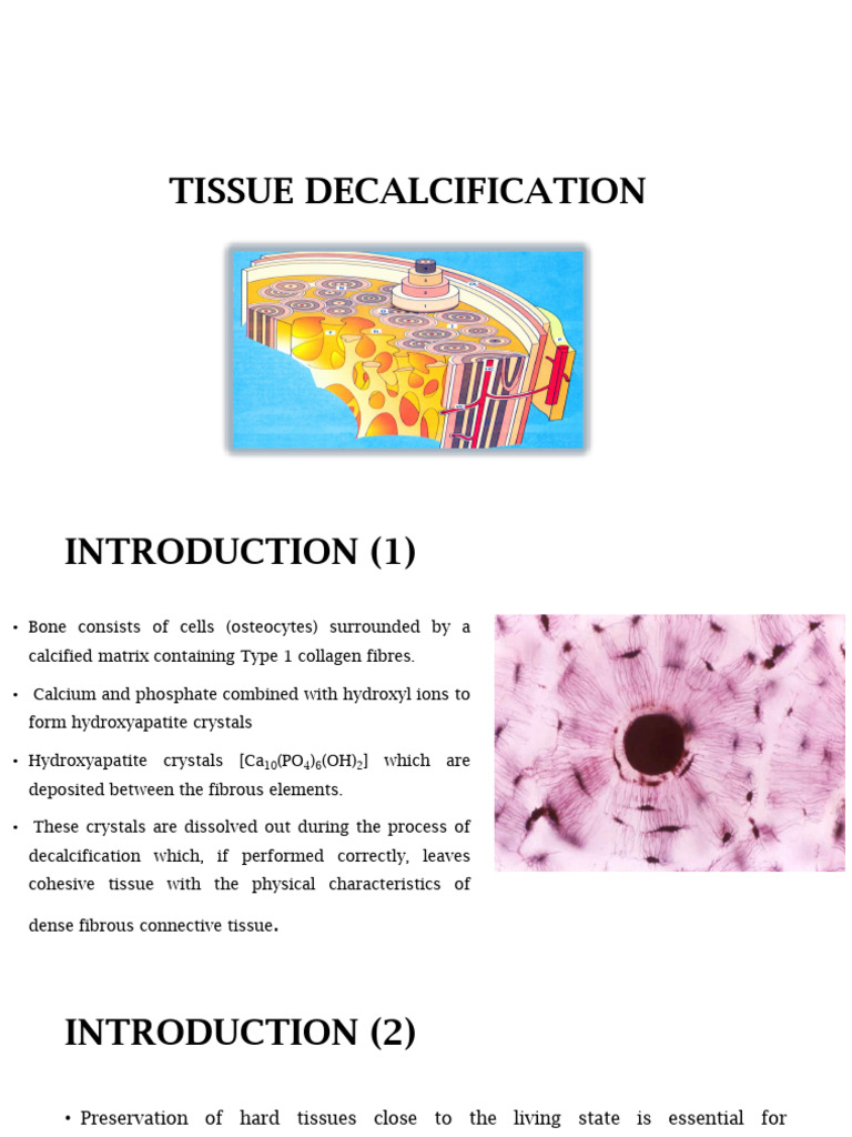 2-decalcification | PDF | Bone | Calcium