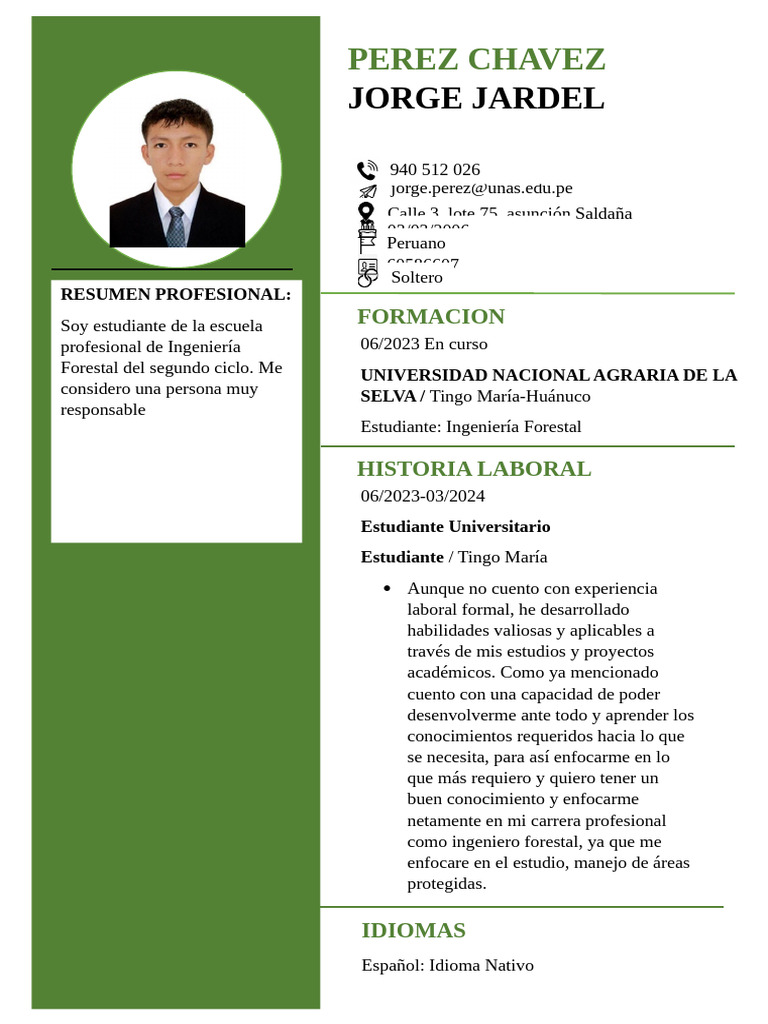 CV JORGE REDACCION 1.2 | PDF
