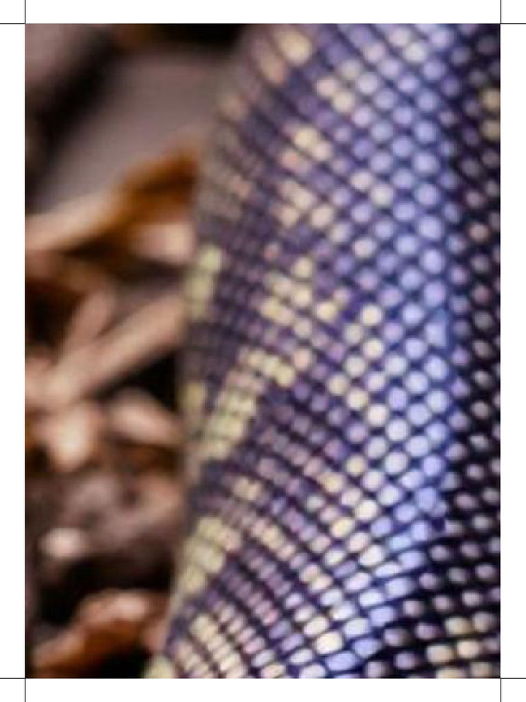 Rasterbation (6) | PDF