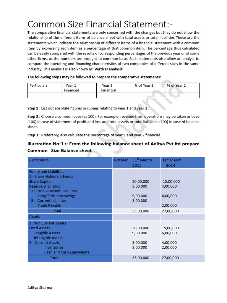 Common Size Statements 24 | PDF | Equity (Finance) | Balance Sheet