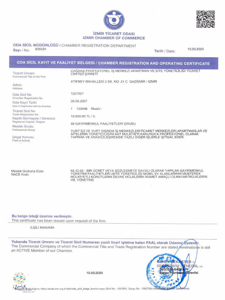 Trade Activity Certificate | PDF