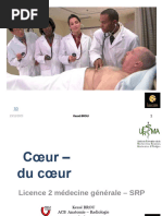 Anatomie du Péricarde et Sinus Cardiaque | PDF | Anatomie | Angiologie