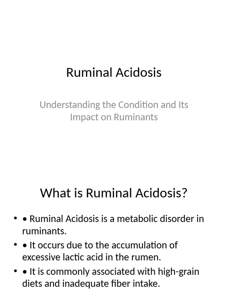 Ruminal Acidosis in Ruminants Explained | PDF