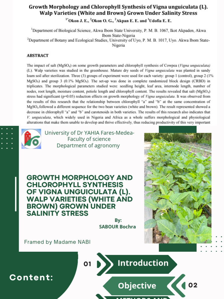 Copie de Green Minimalist Professional Business Proposal Presentation ...