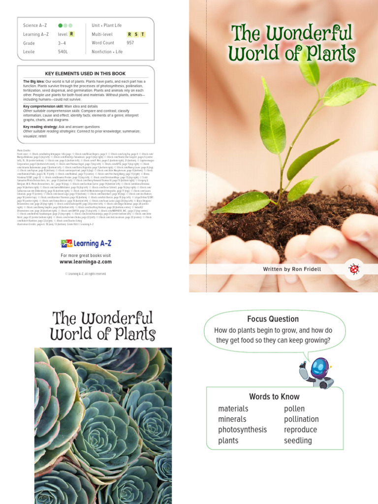 Plant Life 3-4 NF Book - Low | PDF | Plants | Flowers