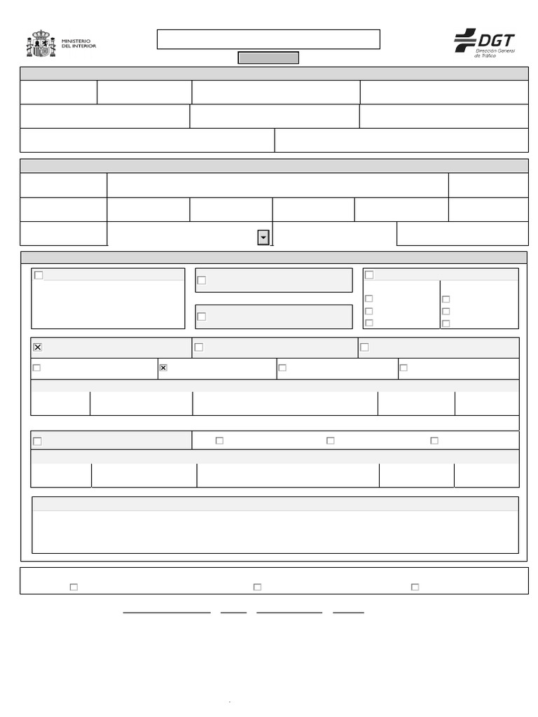 Mod.03-ES - Canje de Carnet | PDF | Licencia de conducir | Documento de identidad