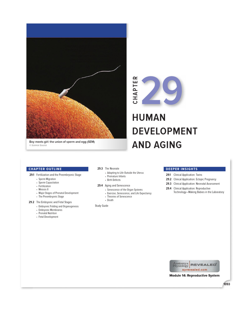 Development and aging | PDF | Embryo | Fertilisation