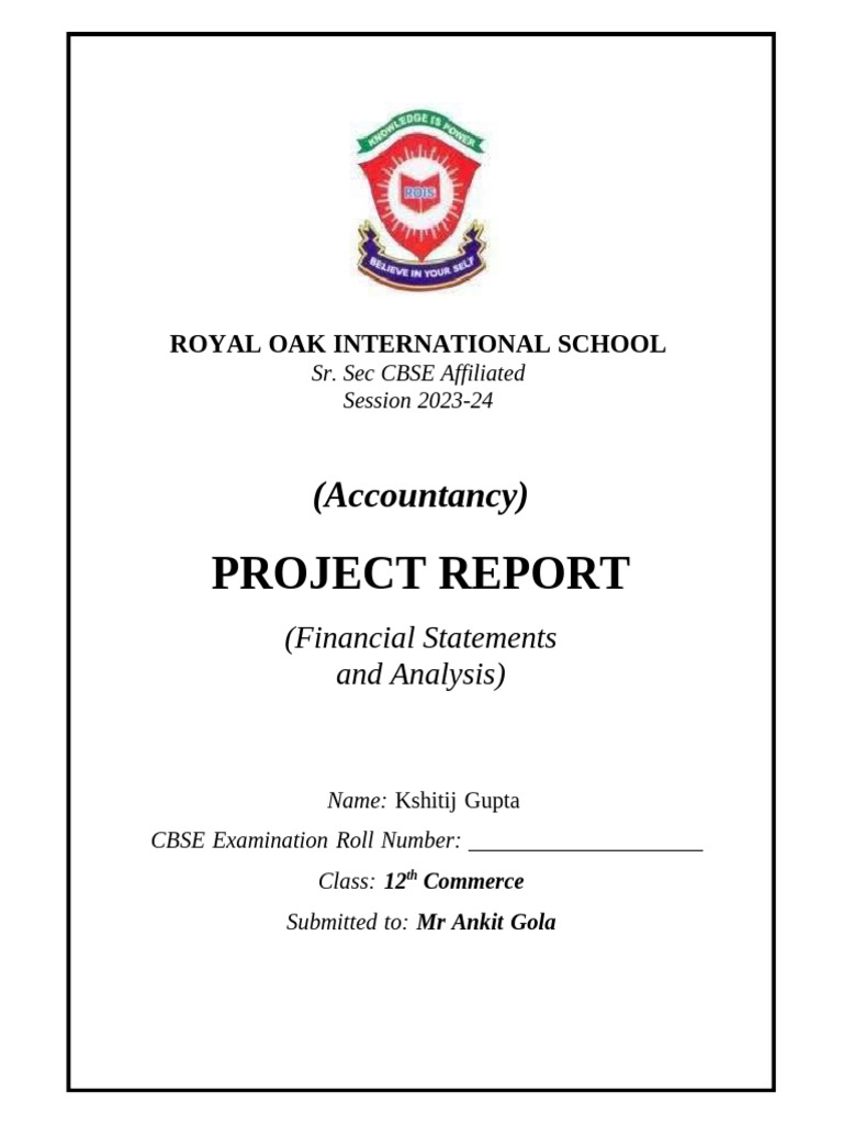 Financial Statements Project Report | PDF