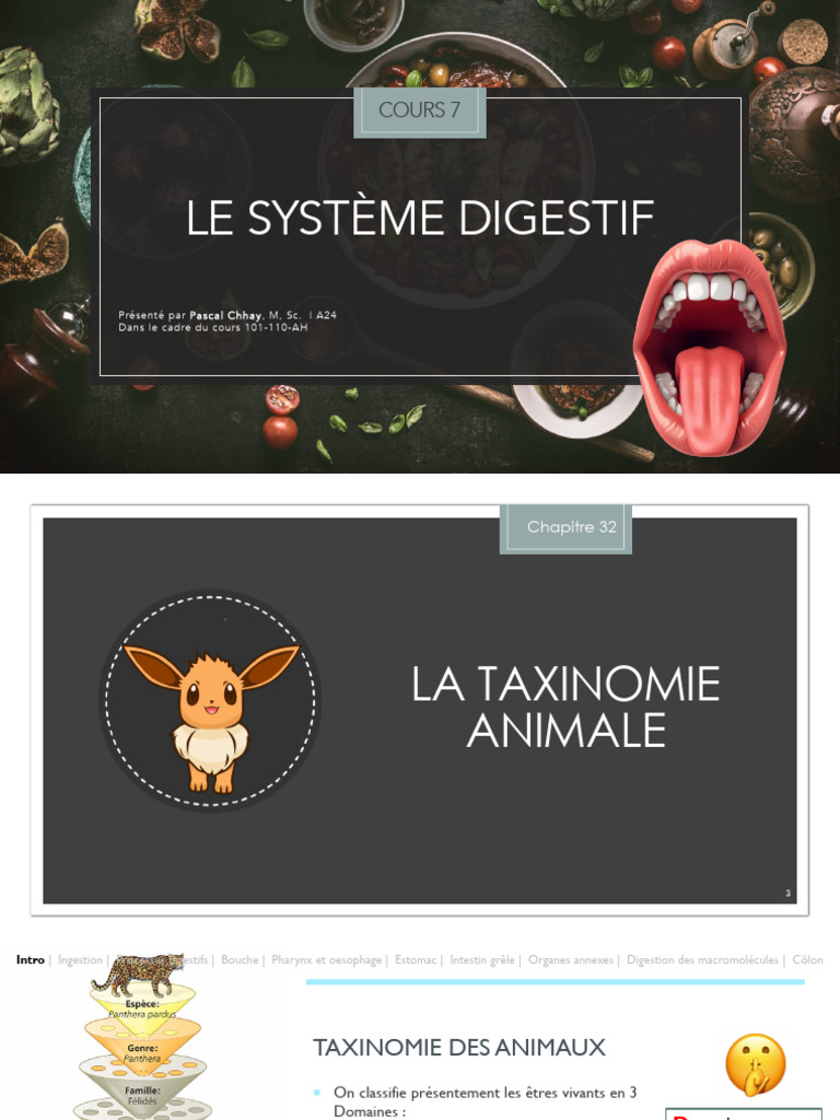 Anatomie et Fonction du Système Digestif | PDF | Tractus gastro ...