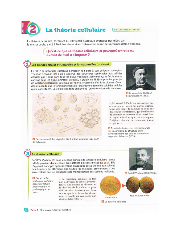 Activité - Théorie Cellulaire | PDF