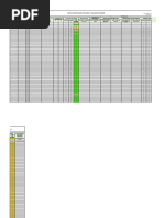 FORMATO IRL (Ex ODI) | PDF