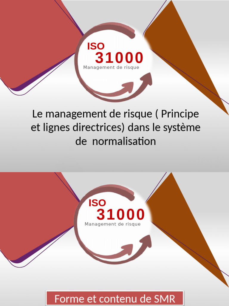 ISO 31000 | PDF | Risque | Gestion des risques