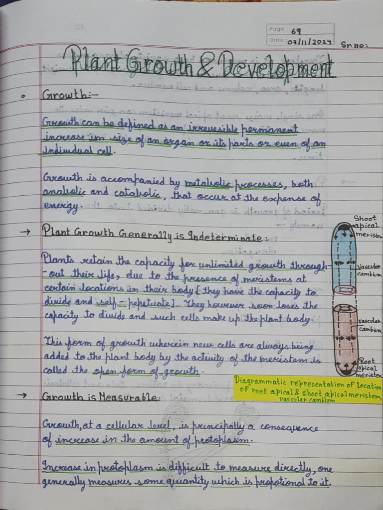 Plant Growth and Development | PDF